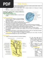 Anatomía de la Caja Timpánica | PDF | Oído | Sistema Auditorio