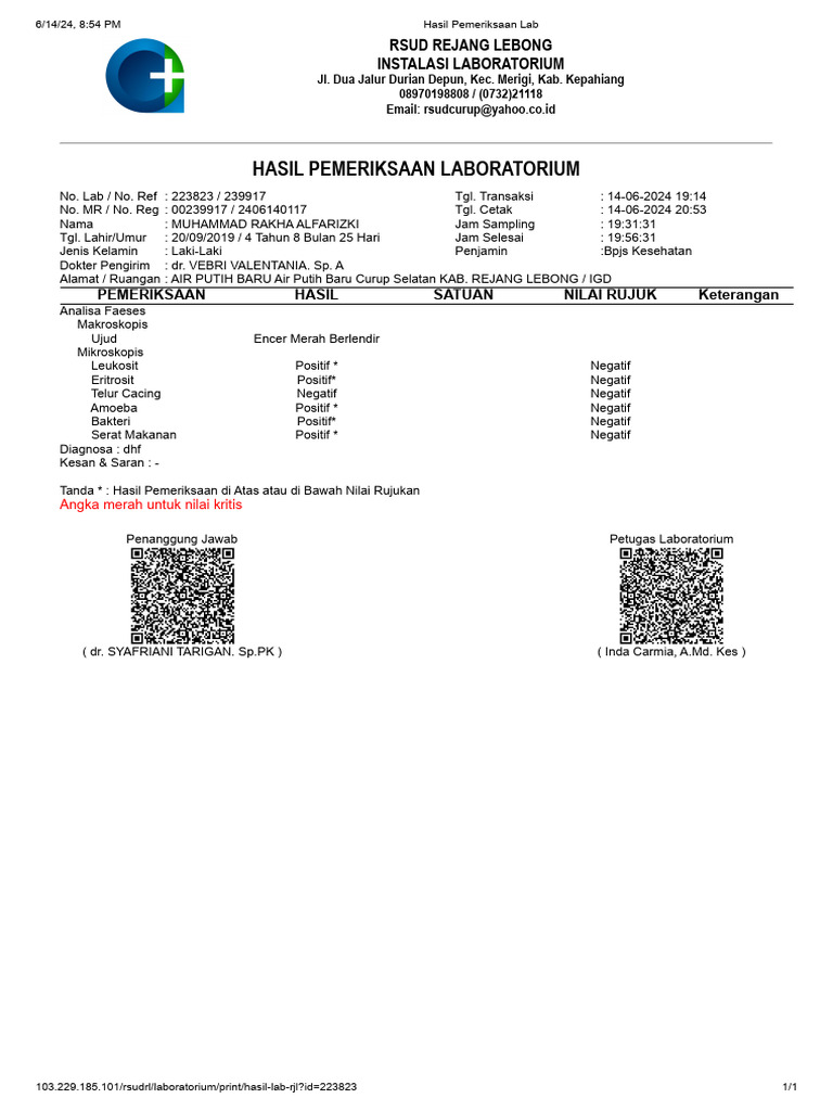 Hasil Pemeriksaan Lab Feses Rakha | PDF