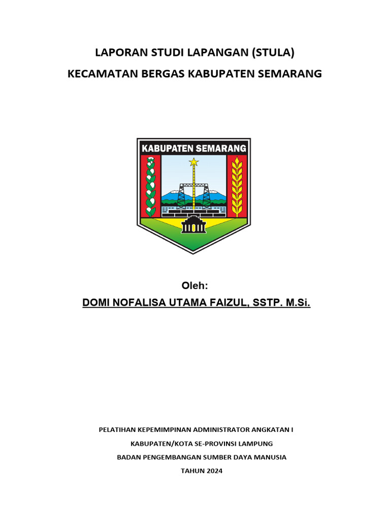 Laporan Individu Stula Fix Domi | PDF