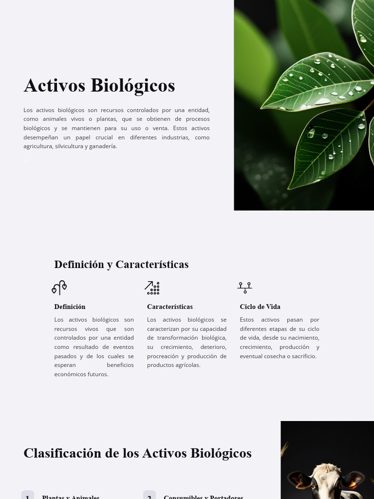 Activos Biológicos | PDF | Contabilidad | normas internacionales de ...