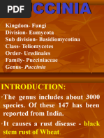 Nematode Species and Common Names List | PDF | Parasites | Plants