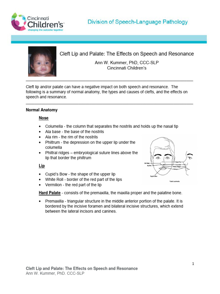 Cleft-Lip-and-Palate | Download Free PDF | Human Head And Neck | Human ...