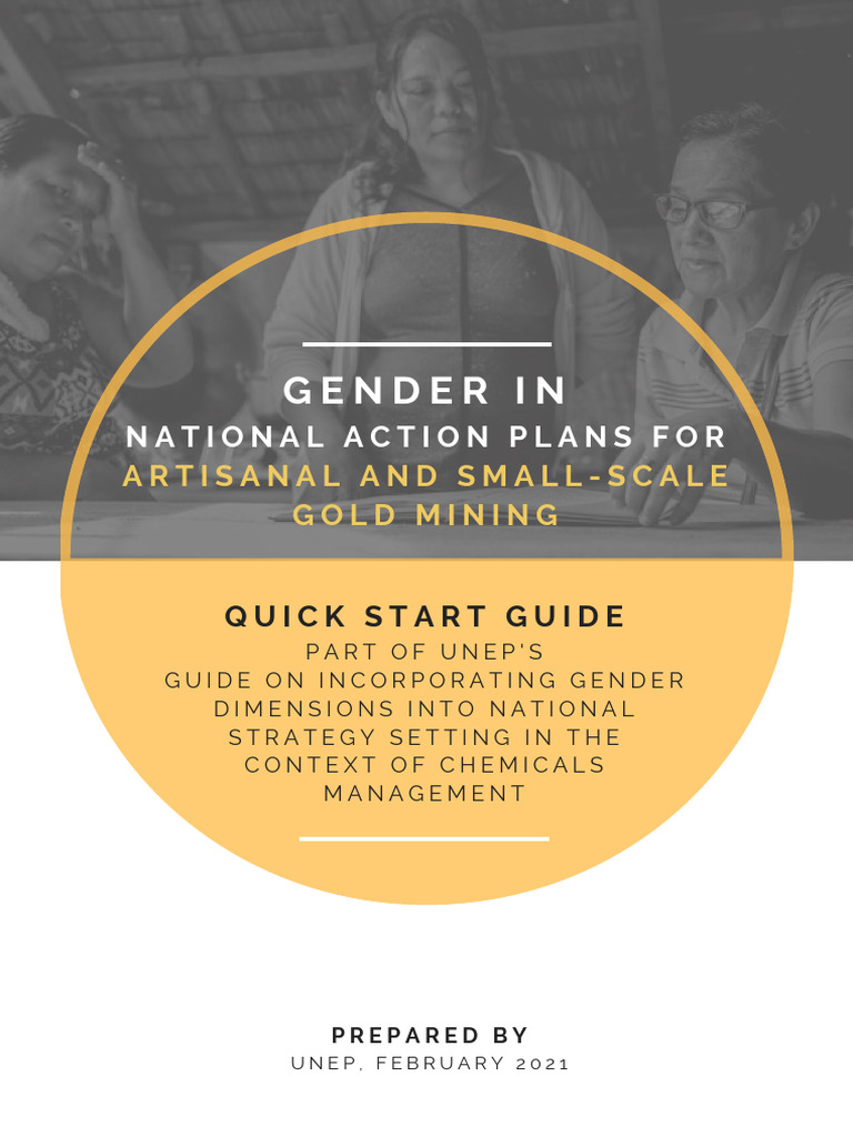 Gender Guide Visual Summary - 080221 | PDF | Mining | Cooperative