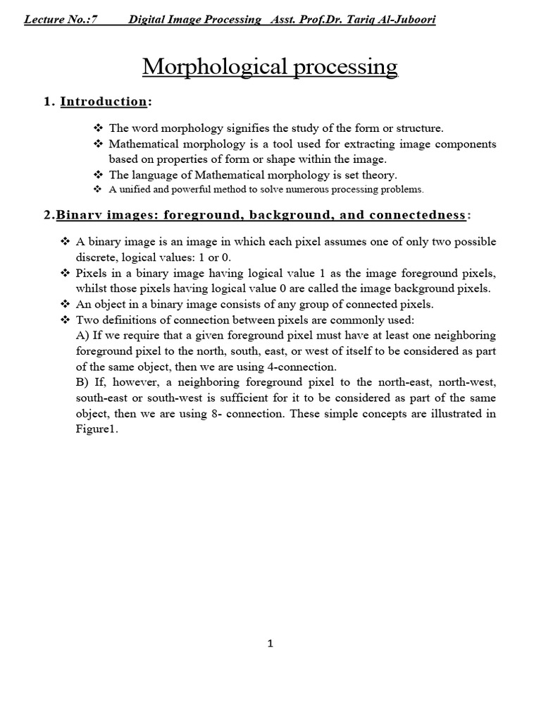 Morphological Processing | PDF | Pixel | Shape
