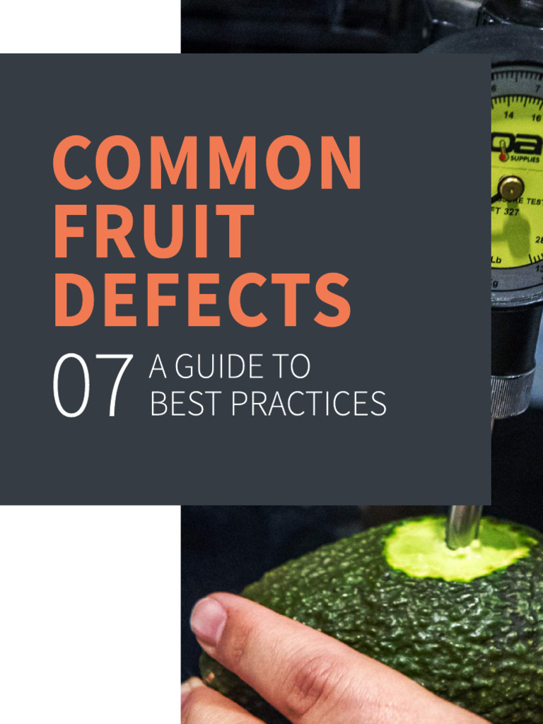 Hass Avocado Board 07 Common Fruit Defects | PDF | Avocado