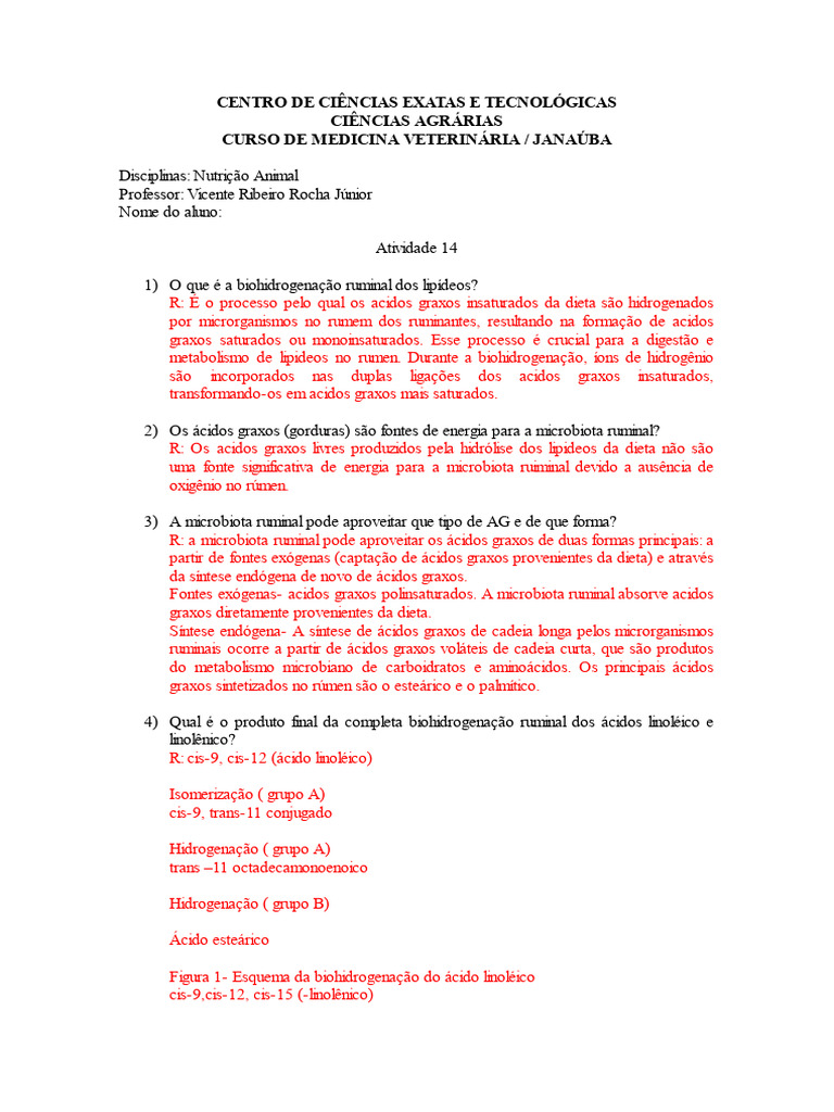 Atividade 14 - Documentos Google | PDF | Gordura | Lipídio