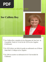 Teoría de La Adaptación de Callista Roy | PDF | Adaptación | Comportamiento