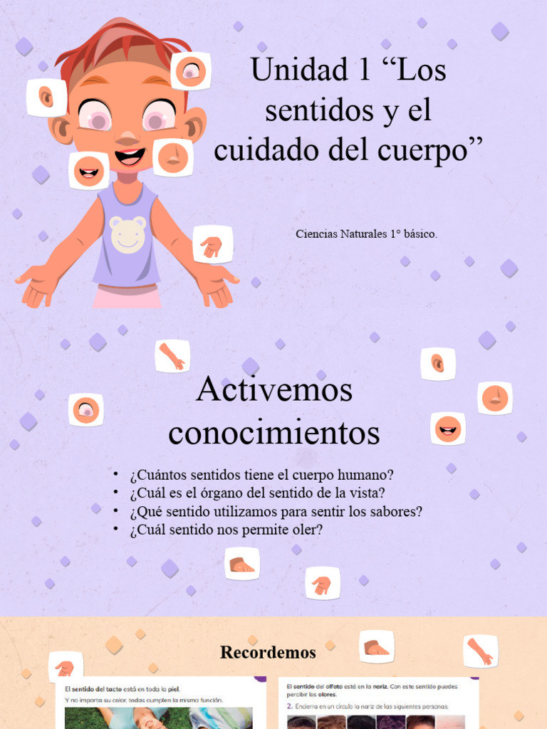Los 5 Sentidos y su Cuidado en 1° Básico | PDF | Relaciones personales ...