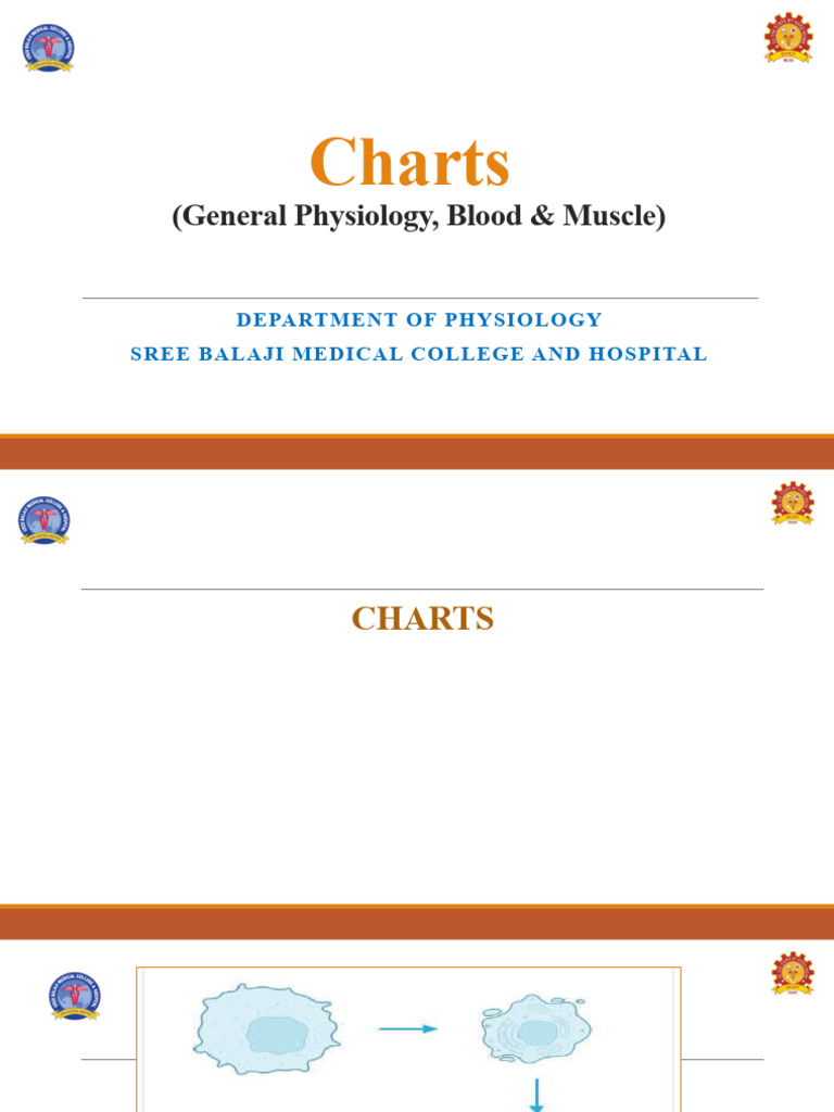 GP, Muscle, Blood Charts | PDF | Neuromuscular Junction | White Blood Cell