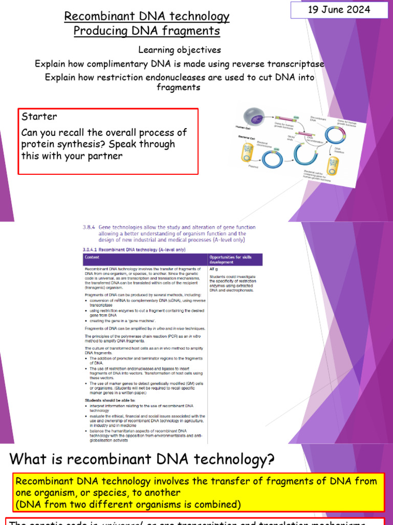 L1 Producing DNA Fragments ECA | PDF | Complementary Dna | Molecular ...