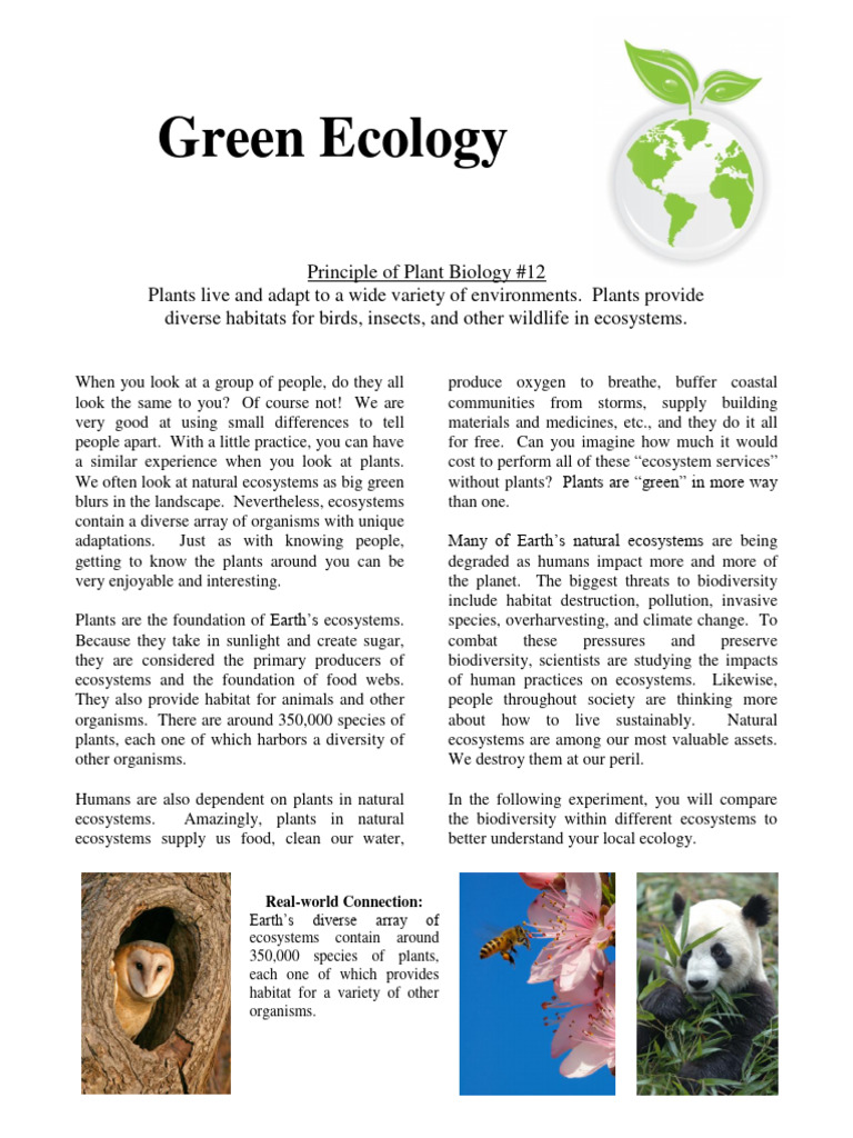 12 - GREEN ECOLOGY Plants and Environment | PDF | Biodiversity | Experiment