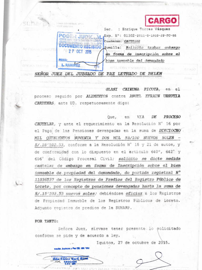 Trabar Embargo | PDF | Procedimiento legal | Separación de poderes