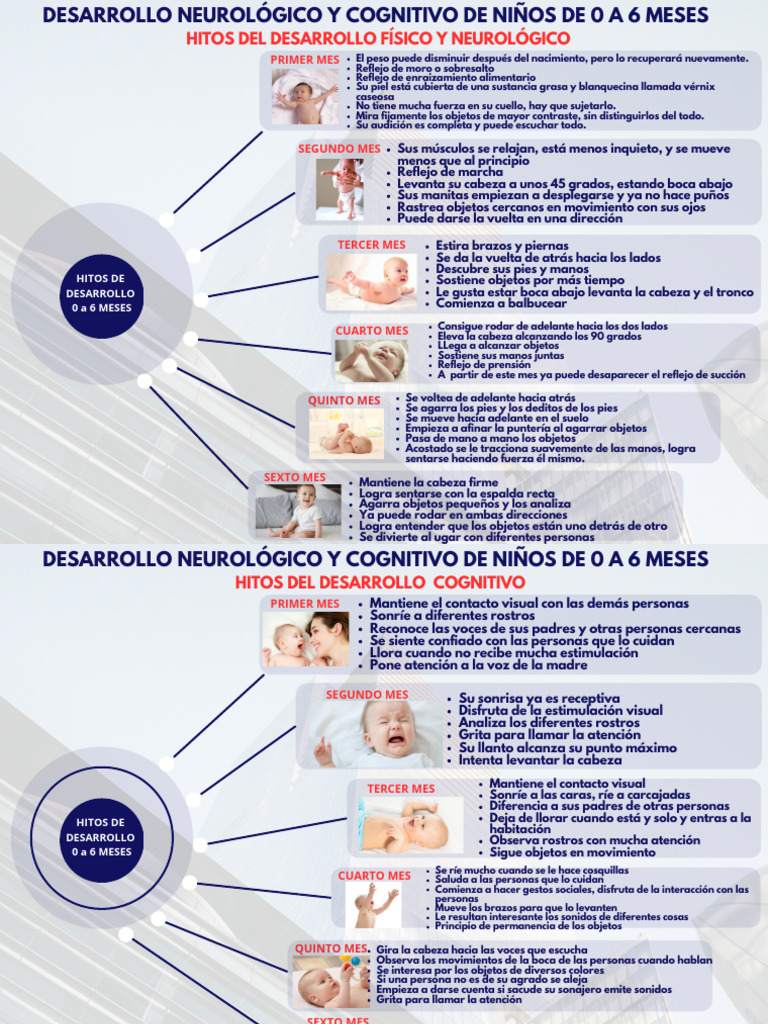 Organizador Gráfico Desarrollo Neuropsicológico 0 6 Meses Pdf