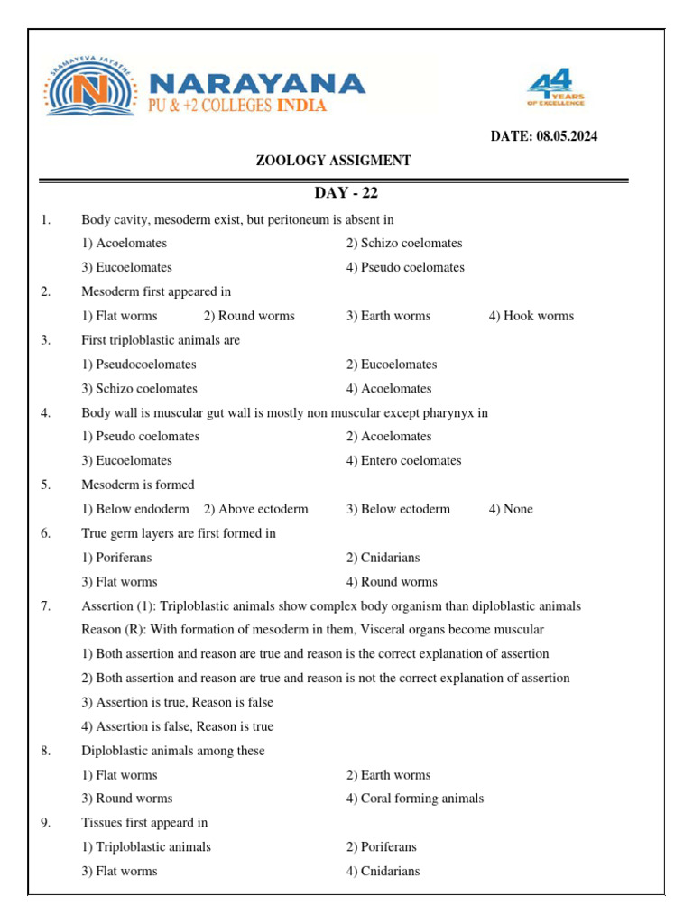 Zoology Assignment on Animal Classification | PDF | Biology | Zoology