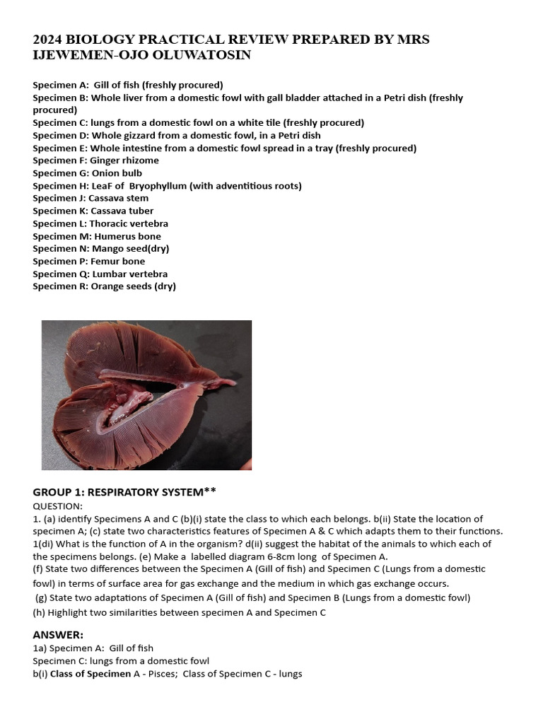 2024 WAEC Biology Practical Specimens | PDF | Vertebral Column | Vertebra