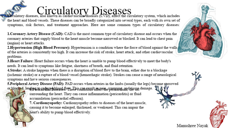 Circulatory Diseases | PDF