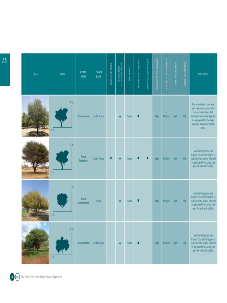 Uae Plants | Download Free PDF | Trees | Plants