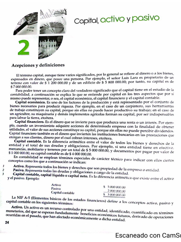 Activo Pasivo y Capital - 1 | PDF