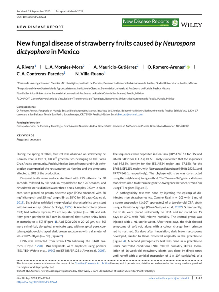 2024-New Disease Reports -Rivera - New fungal disease of strawberry fruits caused by Neurospora ...