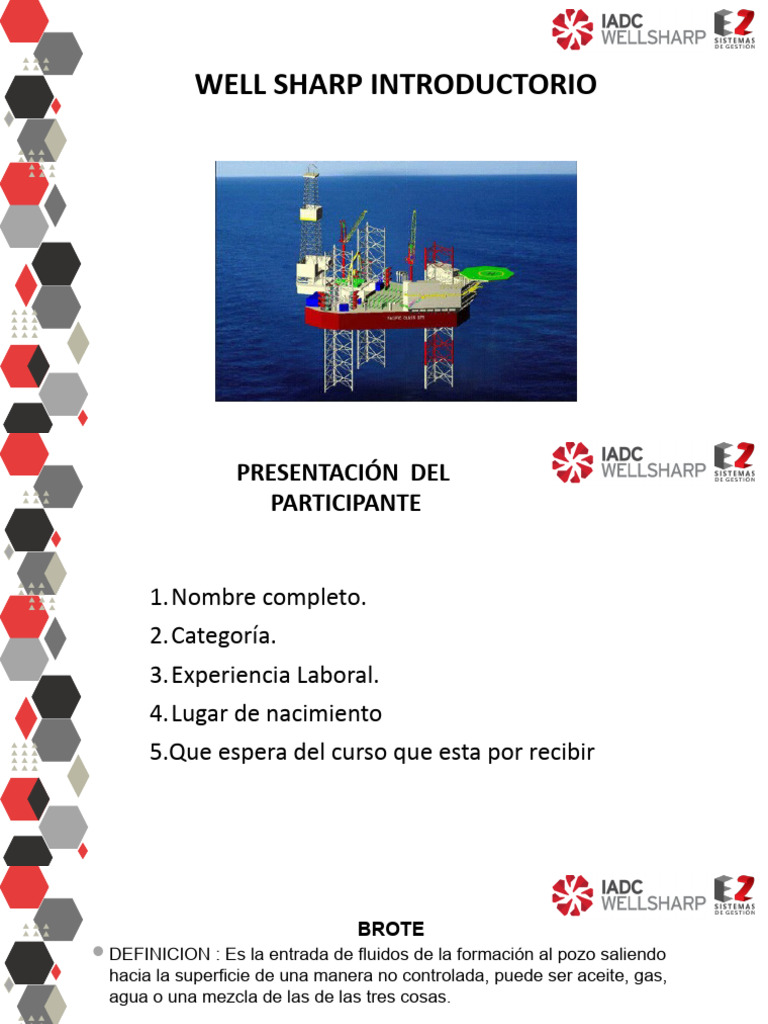 Wellsharp Introductorio | PDF | Viscosidad | Barro