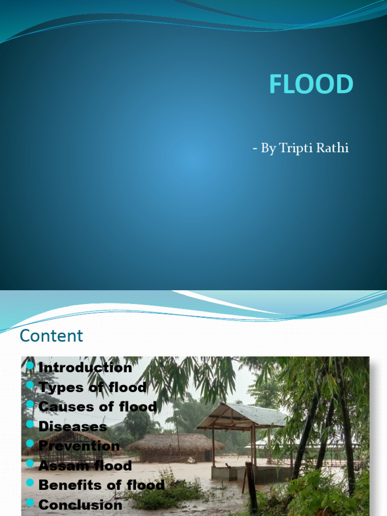 Understanding Floods: Types, Causes, and Prevention | PDF | Flood ...