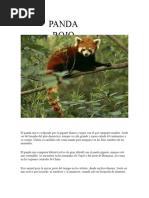 Tipos de Pandas: Gigante y Rojo | PDF | Panda gigante | Zoología