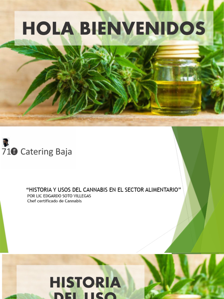 Presentacion Historia Del Cannabis Descargar Gratis Pdf Cannabis