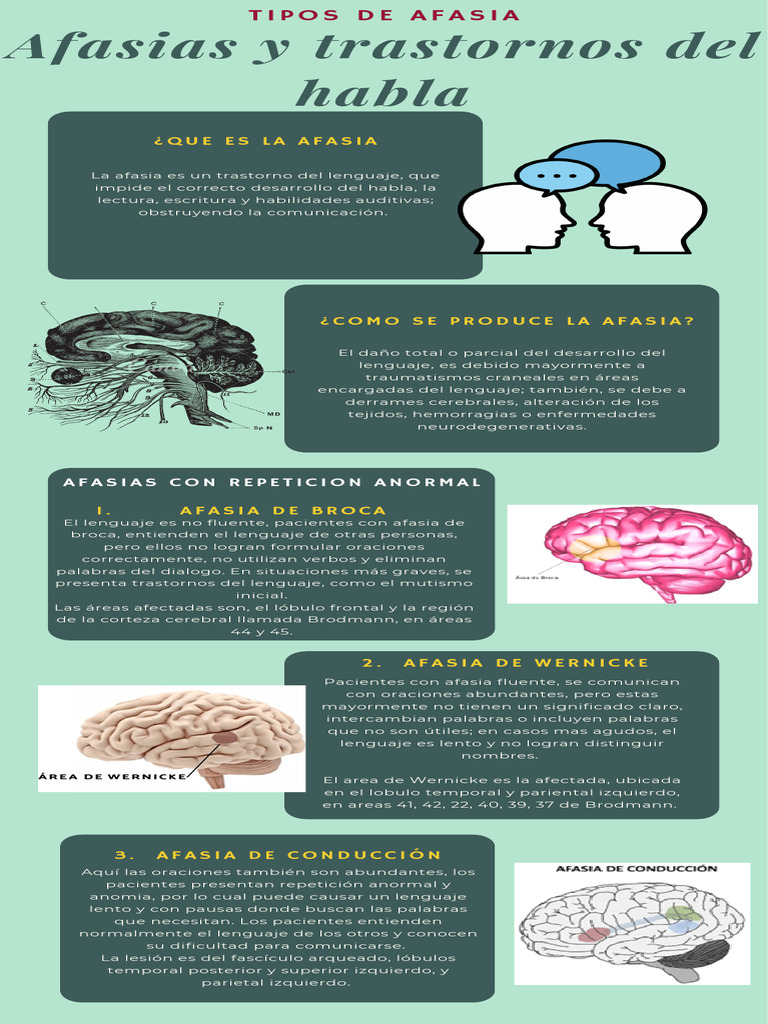 Afasias y Trastornos Del Habla. | PDF | Afasia | Lóbulo temporal