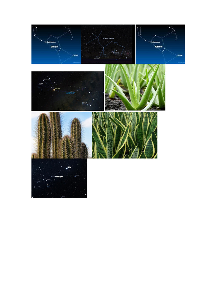 Imprimir explorador | PDF