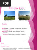 Kostur Čovjeka | PDF