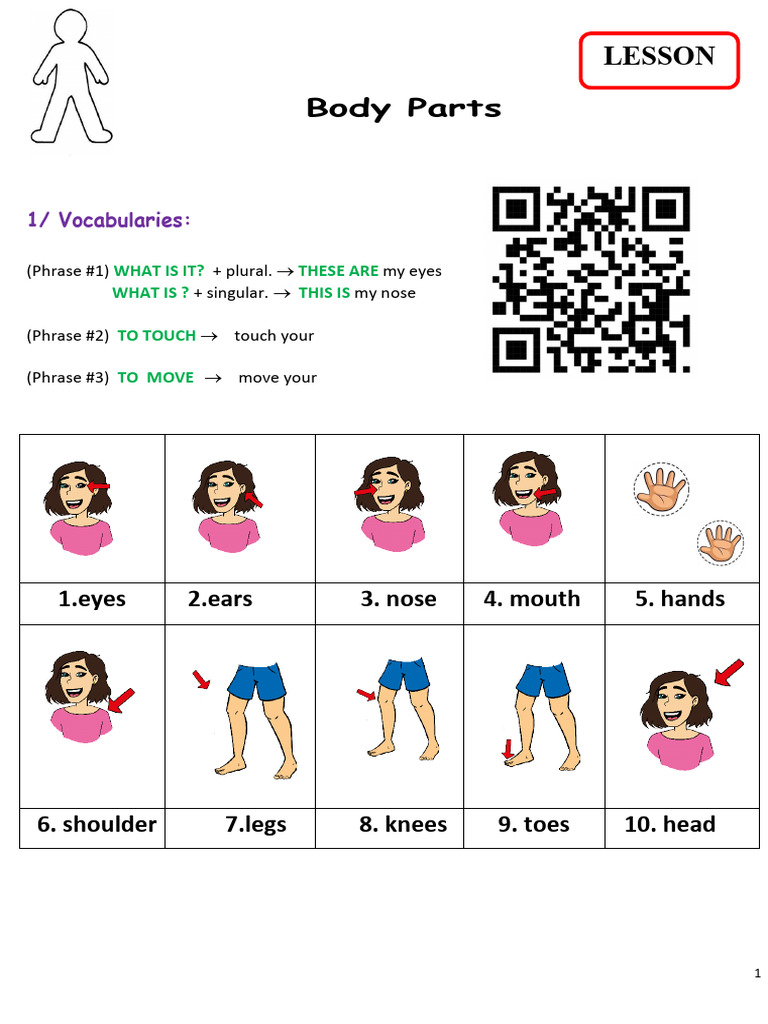 Vocabulary - Body Part - 5 Sens - V2 | PDF