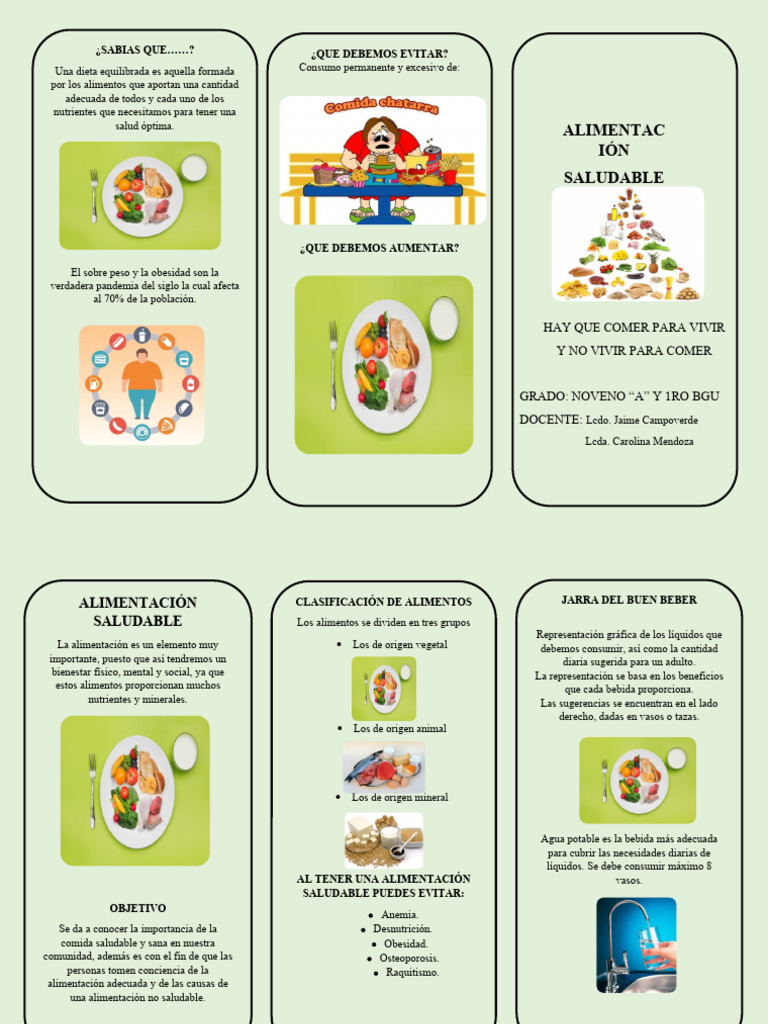 Triptico de La Alimentacion Saludable 2 | PDF | Alimentos | Dieta saludable