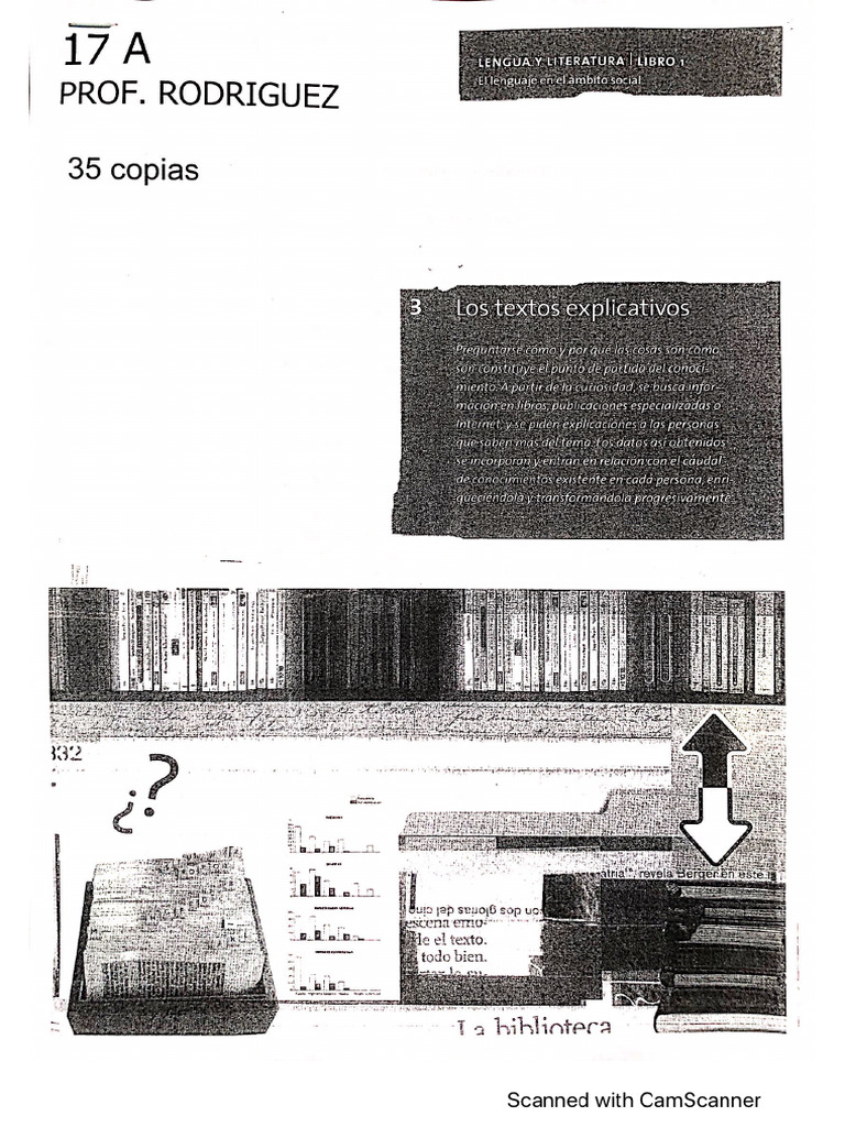 Texto 17A Del Taller de LEO | PDF