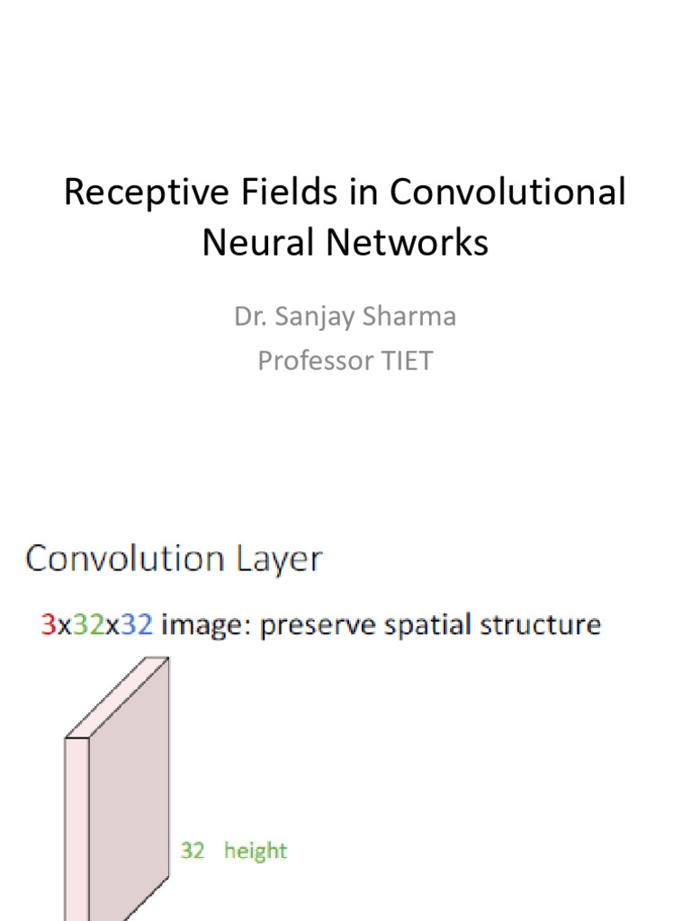 Receptive Fields in Convolutional Neural Networks | PDF