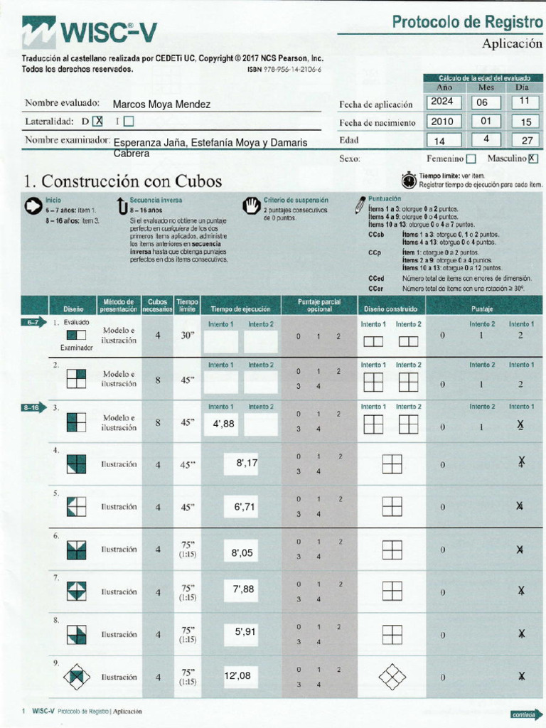 Protocolo de Aplicación WISCV | PDF