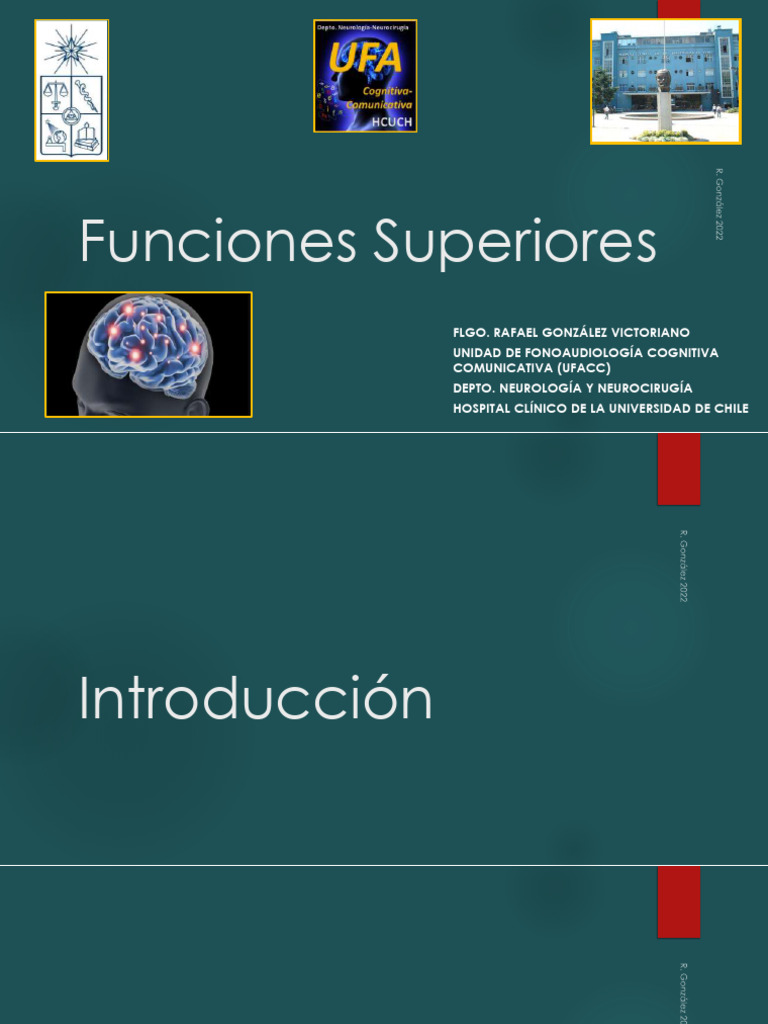 Clase Funciones Superiores RG | PDF | Lóbulo temporal | Hemisferio cerebral
