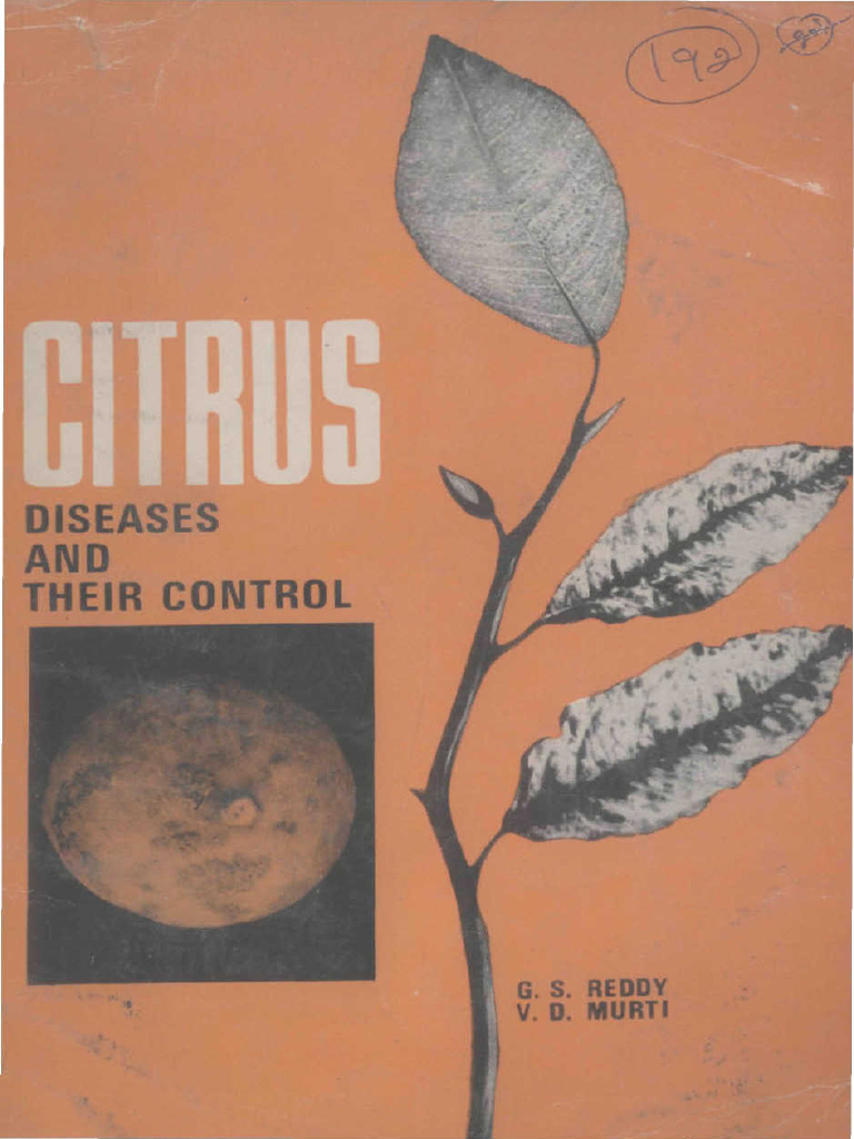 Citrus Diseases | PDF | Orange (Fruit) | Citrus