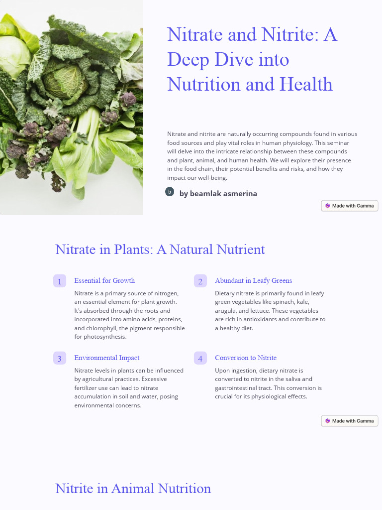 Nitrate and Nitrite A Deep Dive Into Nutrition and Health | Download ...