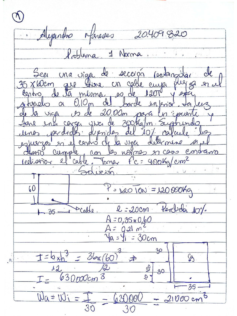 Alejandro Meneses Norma 1 | PDF