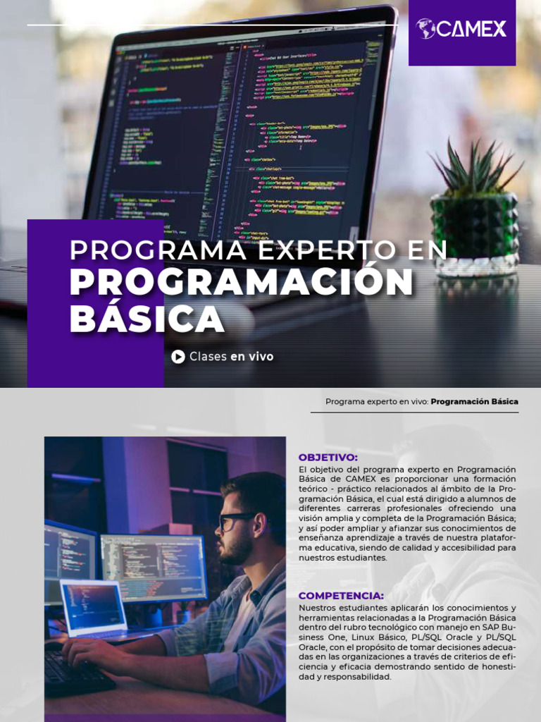 Programacion Basica | Descargar gratis PDF | Programación de computadoras | Ingeniería de software