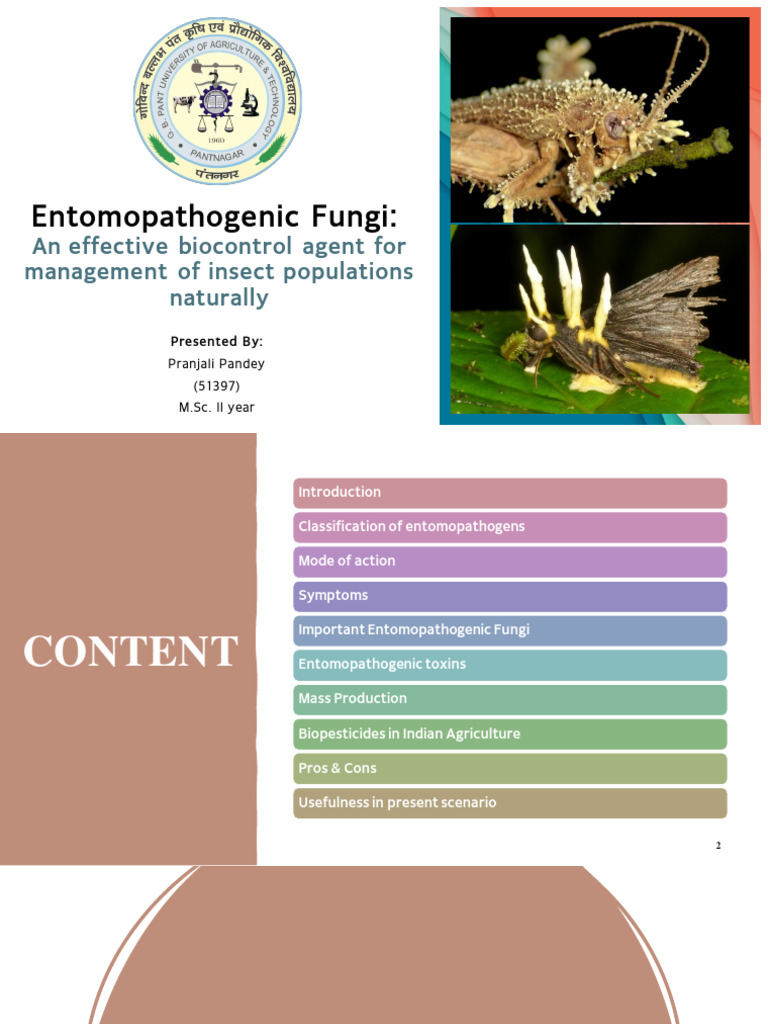 Pranjali Biocontol | PDF | Fungus | Biology