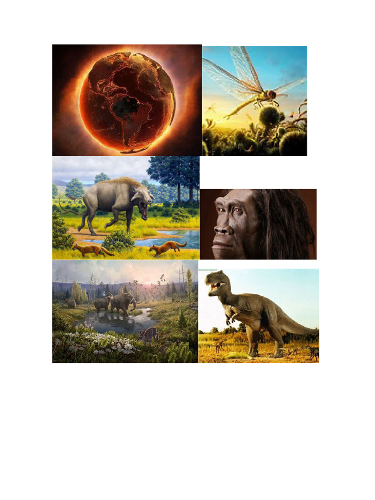 Dennys Persolal Social | PDF