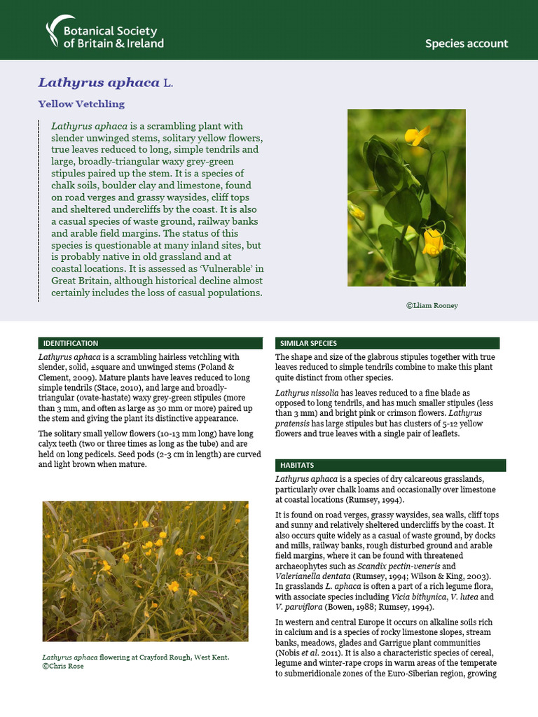 Lathyrus Aphaca Species Account | PDF | Seed | Grassland
