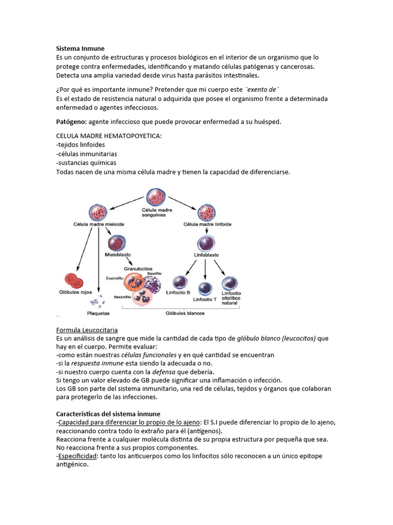 Sistema Inmune | PDF | Sistema inmune | Linfocitos