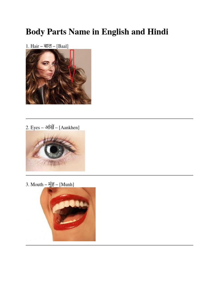 Body Parts Name 123457 | PDF