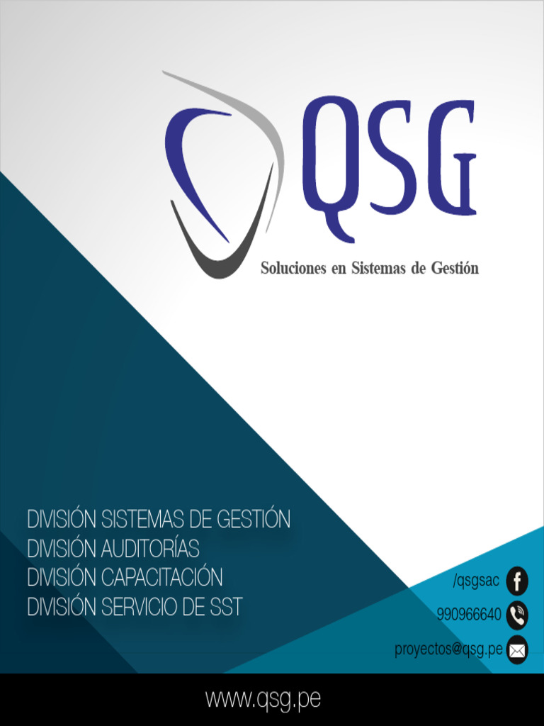 Qué es QSG y sus servicios | PDF | Business