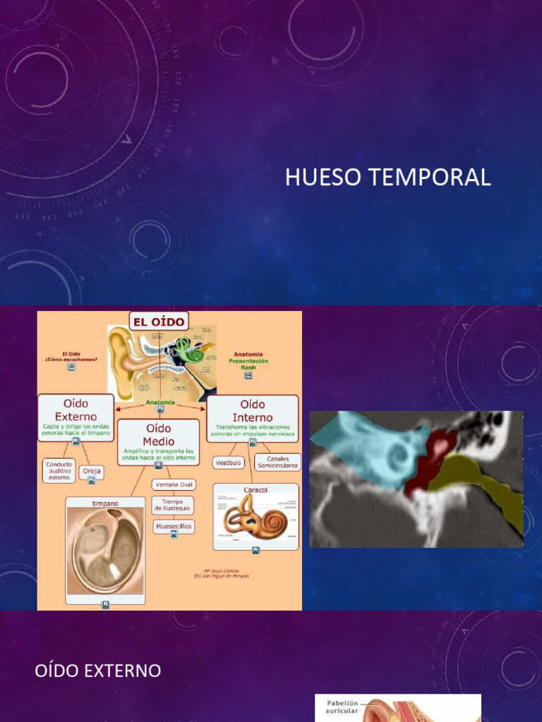 Oido y Cpn Final | PDF | Oído | Escuchando