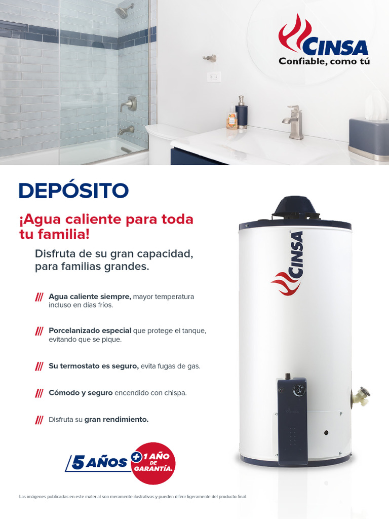 Cinsa Gas | PDF | Gases | Materiales