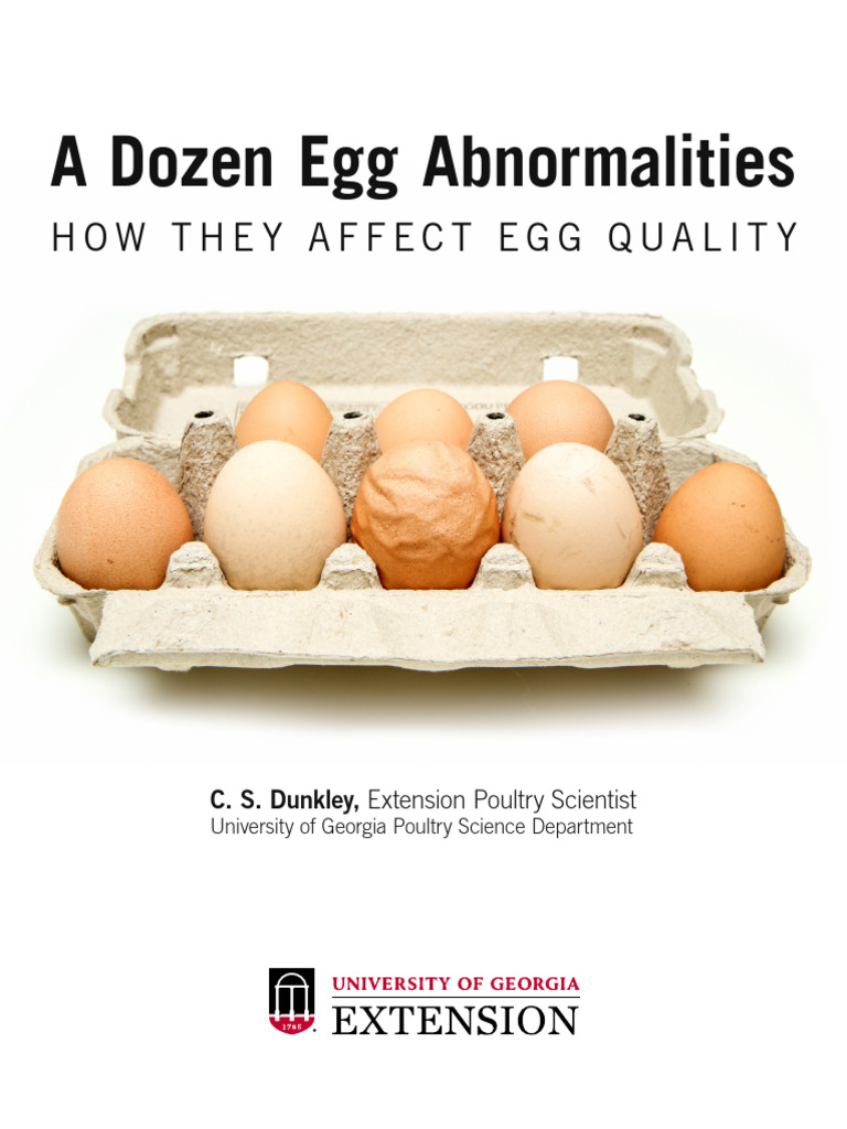 Egg Abnormalities Impacting Quality | PDF | Egg | Chicken