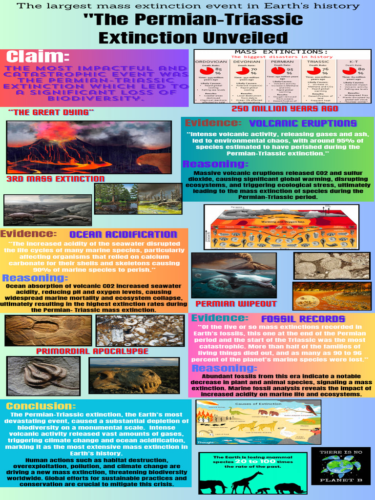 Permian Triassic Infographic | PDF | Extinction | Oceans